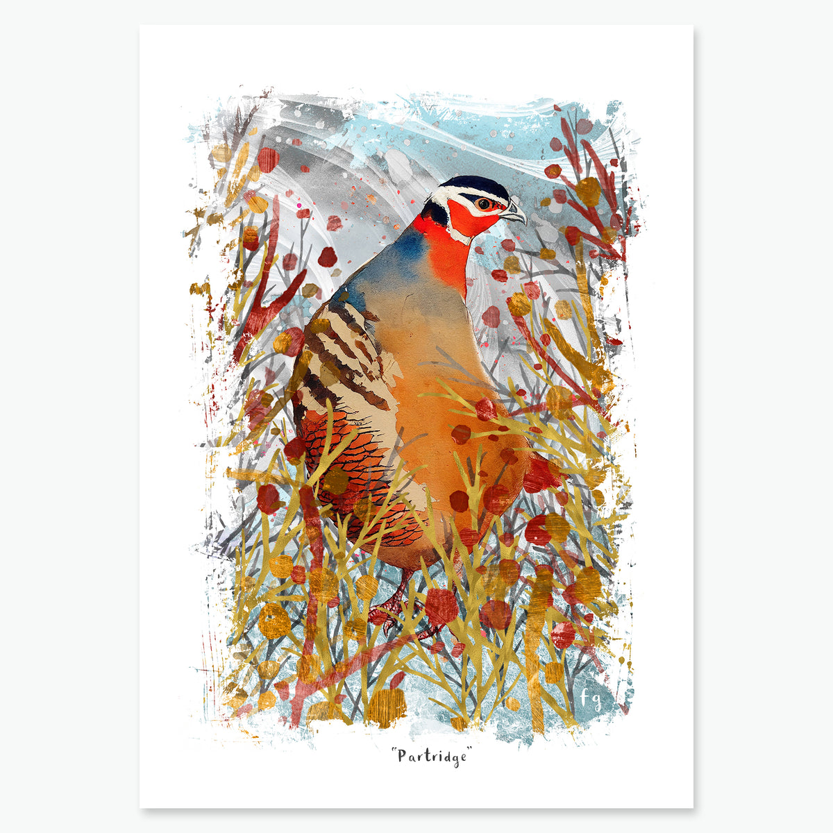 Partridge - Christmas Card – Frog and Gnome